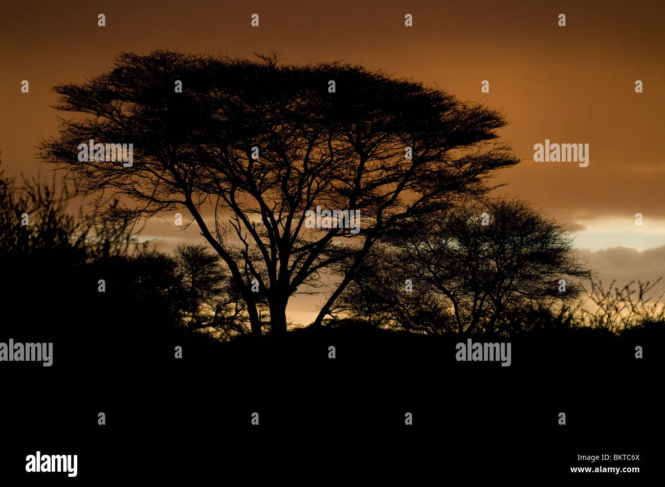 African sunset, Namibia Stock Photo - Alamy