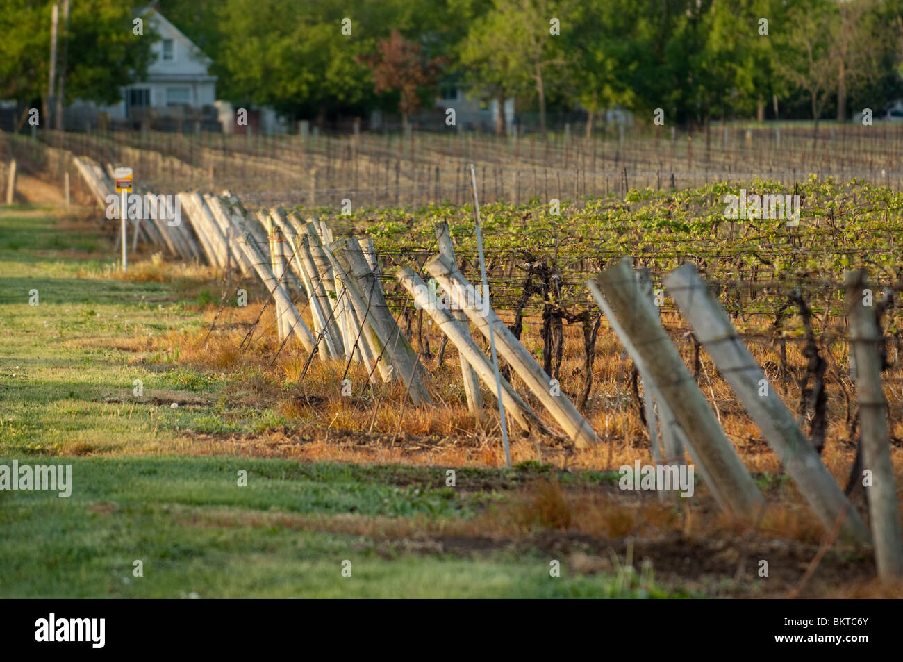 Winemaking region hi-res stock photography and images - Alamy