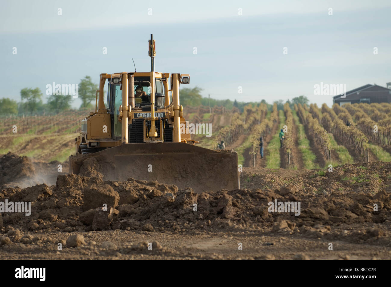 a Bulldozer prepares ground for farming as workers in the background ...