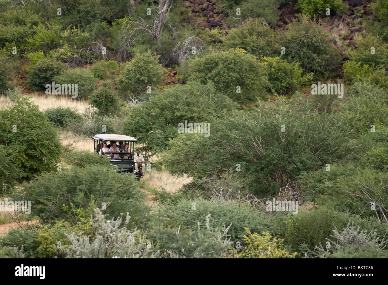 African safari drive hi-res stock photography and images - Alamy