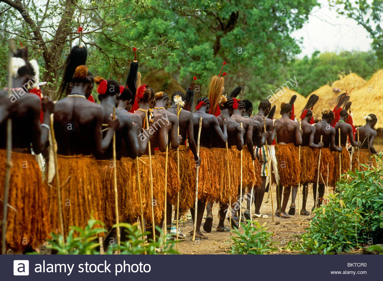 Bassari Stock Photos & Bassari Stock Images - Alamy