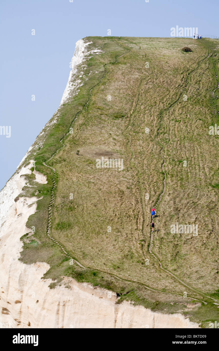 Cliffs, Jurassic Coast World Heritage Site, Dorset, England, UK Stock ...