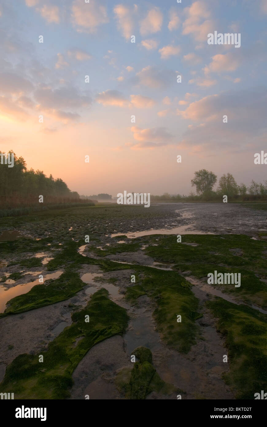 Natuurontwikkeling High Resolution Stock Photography and Images - Alamy