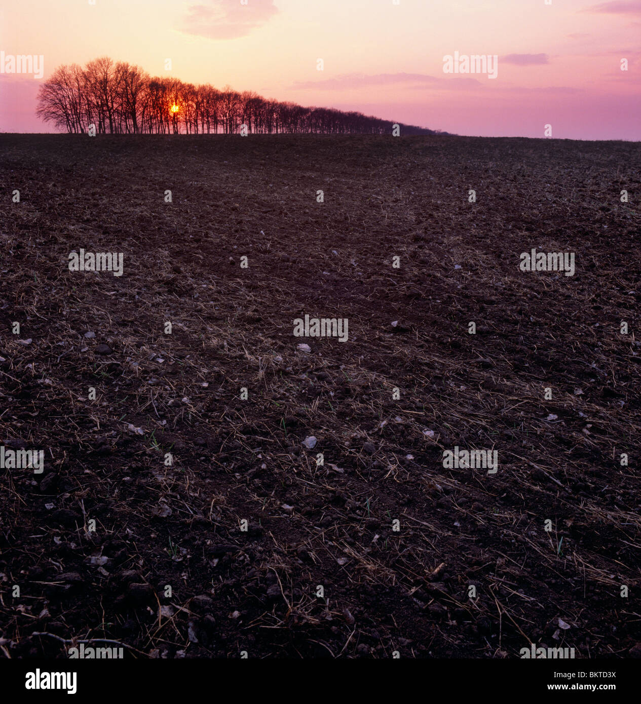 Ploughed field ukraine hi-res stock photography and images - Alamy