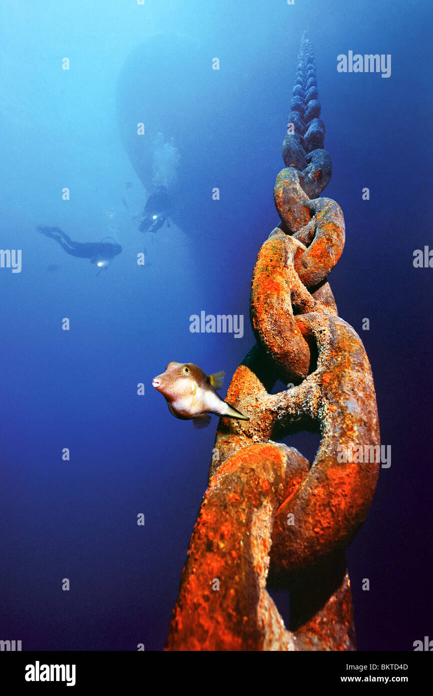 Chain underwater hi-res stock photography and images - Alamy