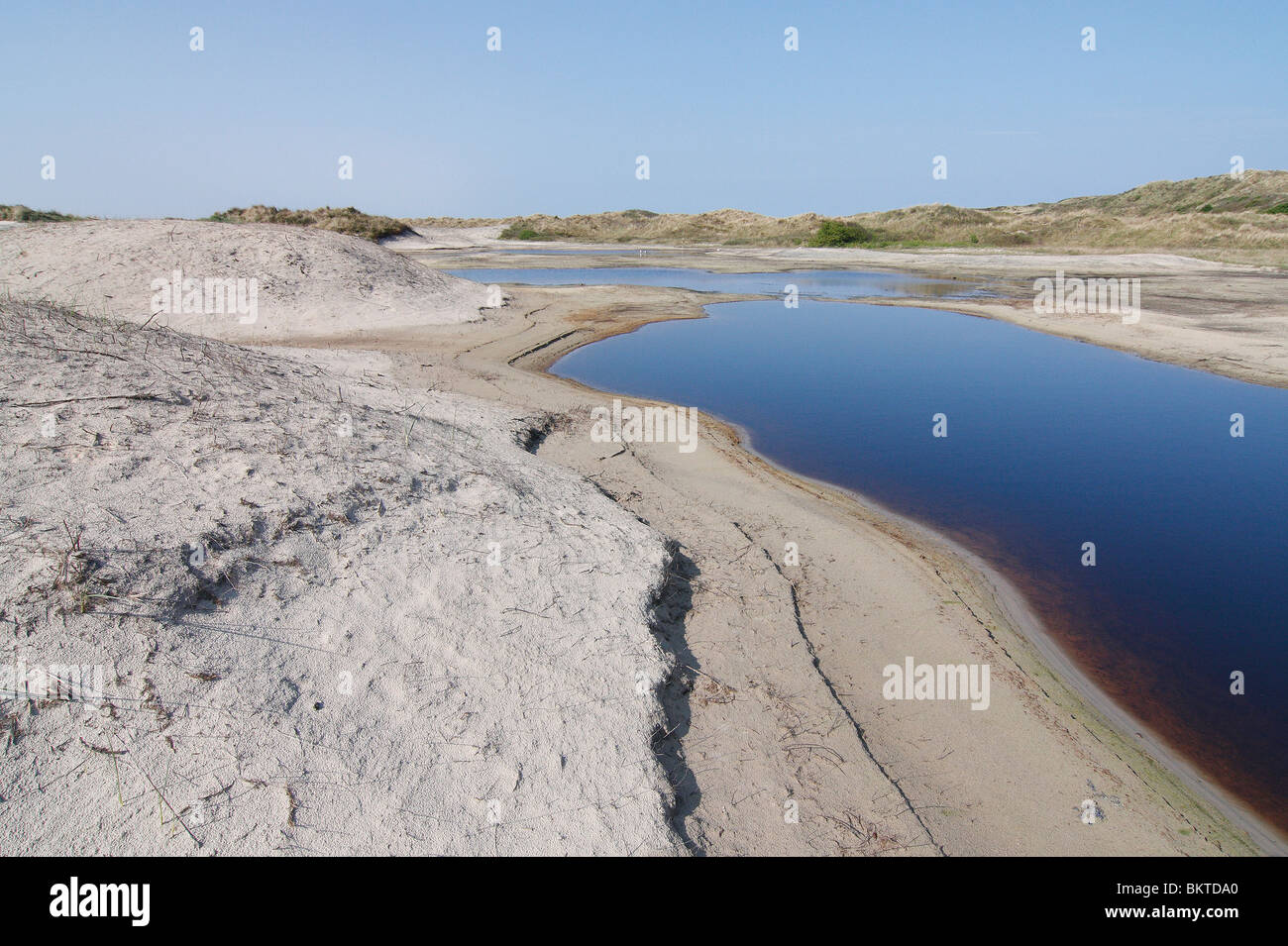 Duinkust hi-res stock photography and images - Alamy