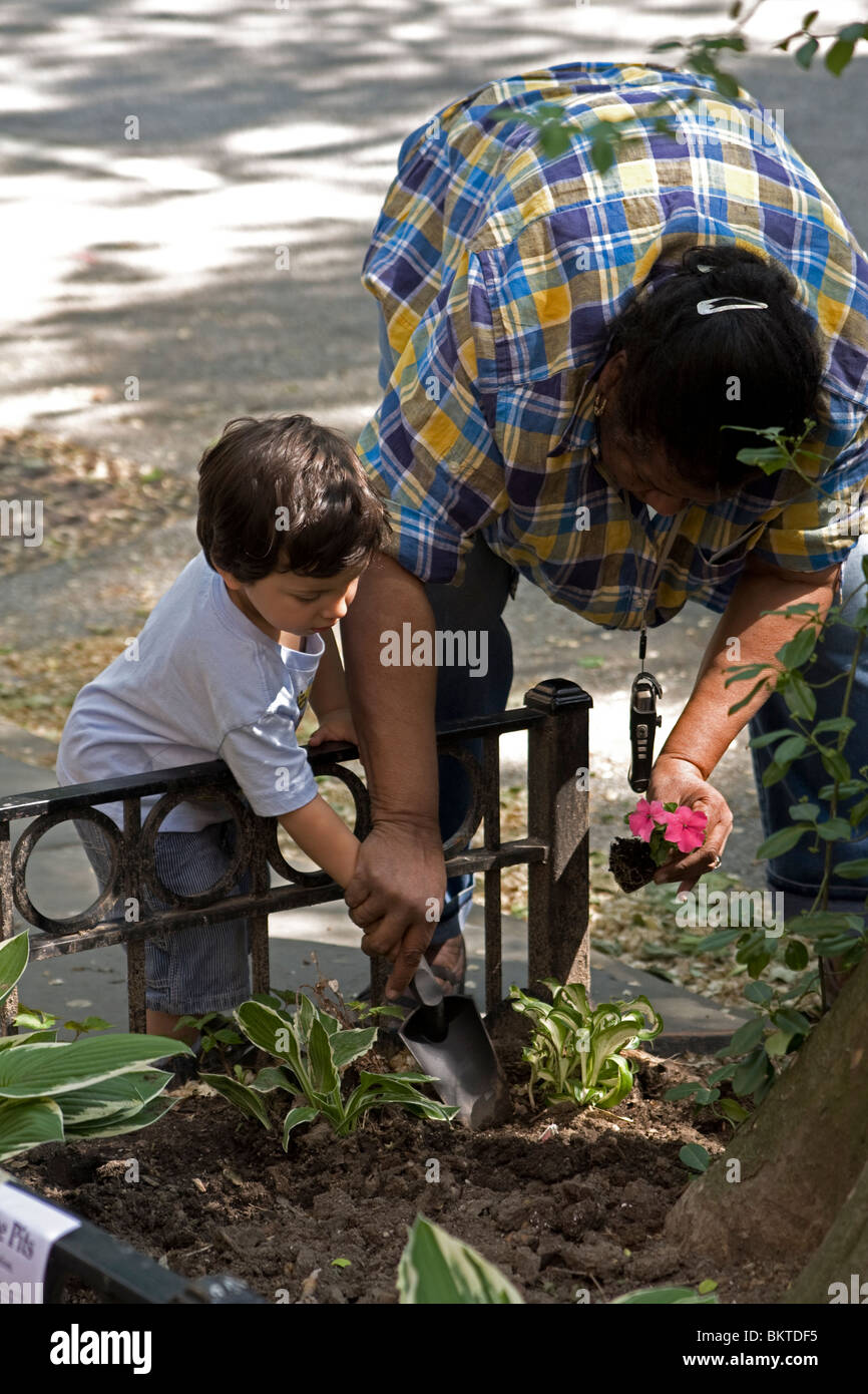 A little boy in Brooklyn gets help planting a flower with a neighbor ...
