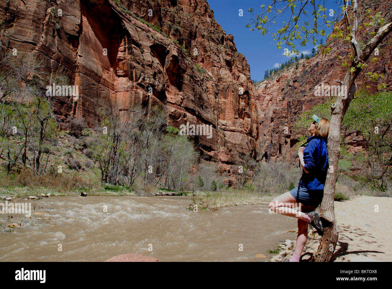 Female hiker walker on Riverside Walk alongside Virgin River Zion ...
