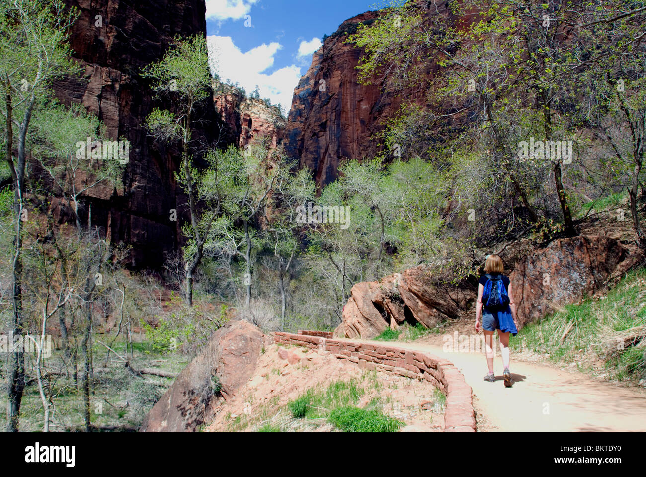 Female hiker walker on Riverside Walk alongside Virgin River Zion ...