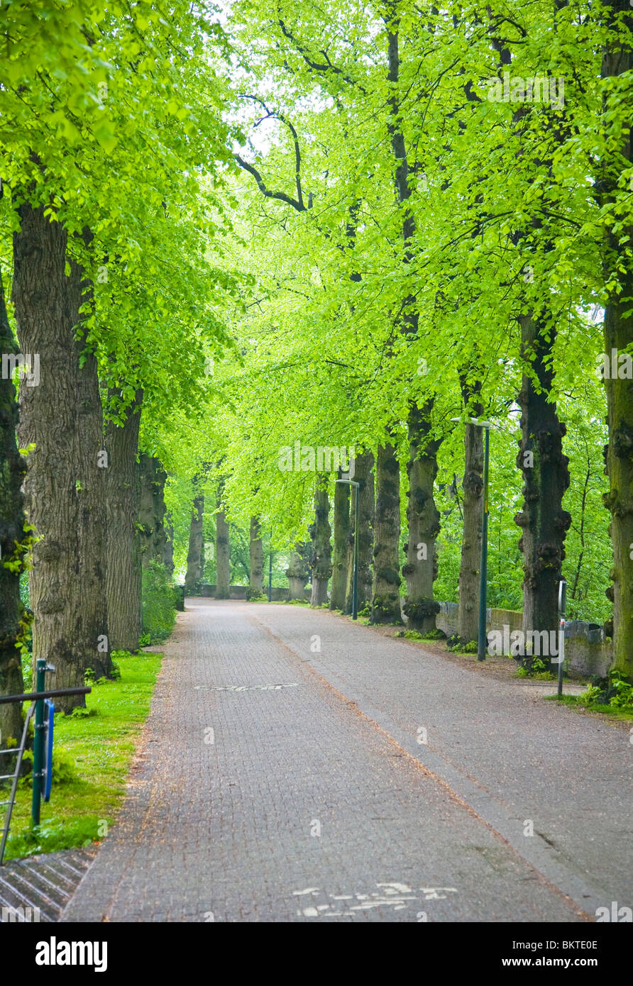 Shaded walkway hi-res stock photography and images - Alamy