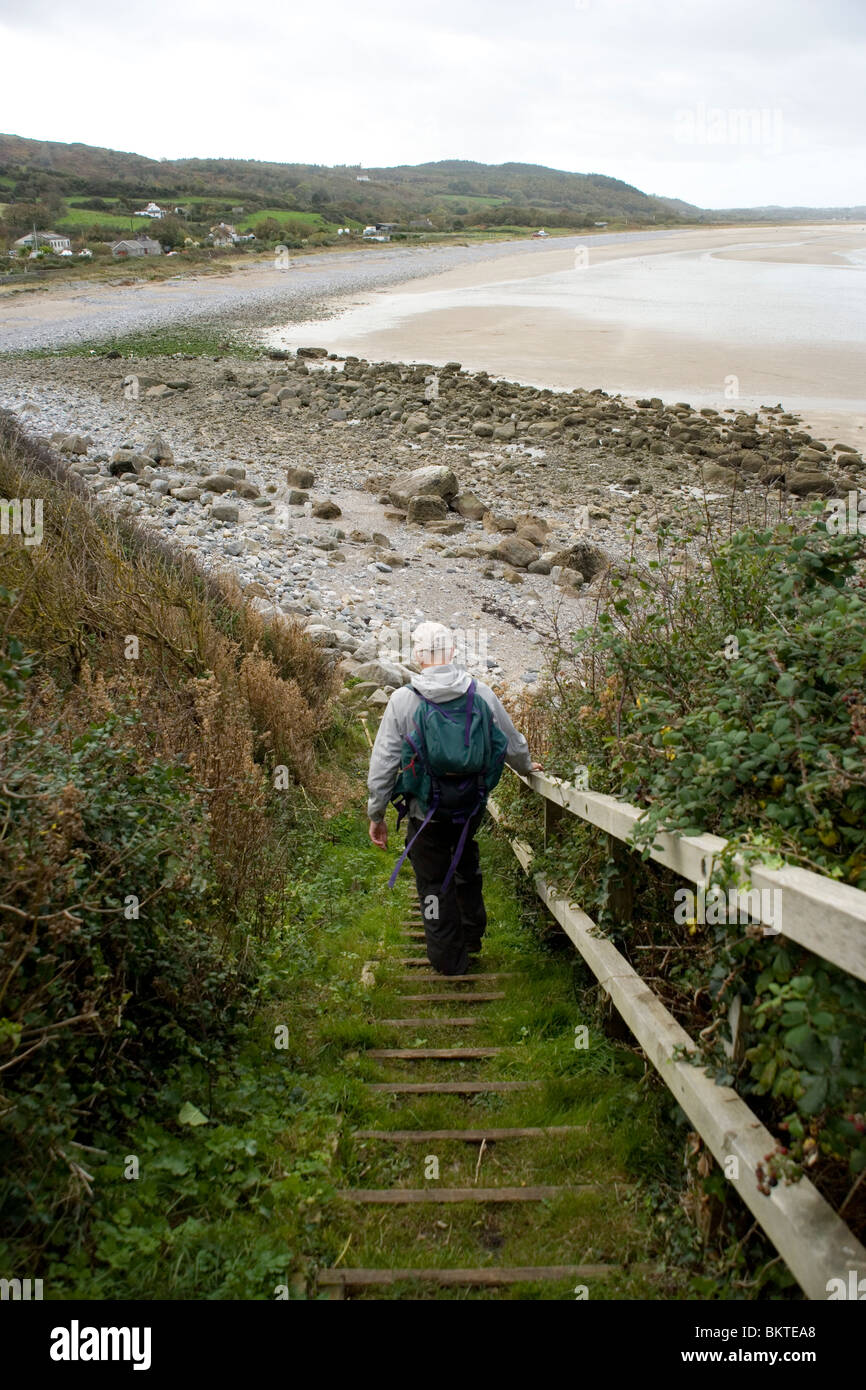 Anglesey coastal path walker hi-res stock photography and images - Alamy
