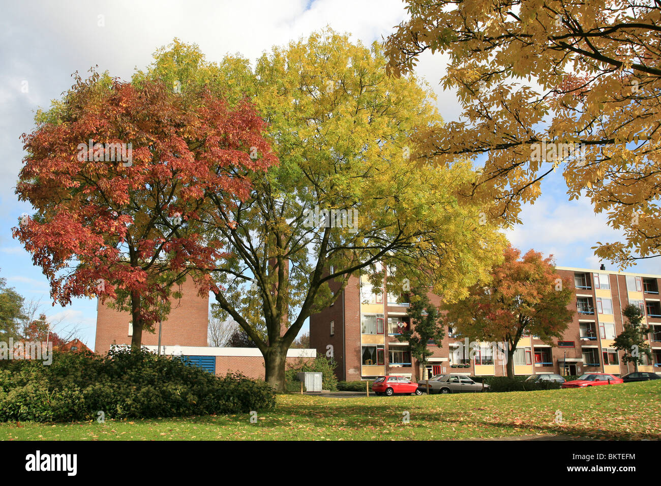 Distinguish species hi-res stock photography and images - Alamy