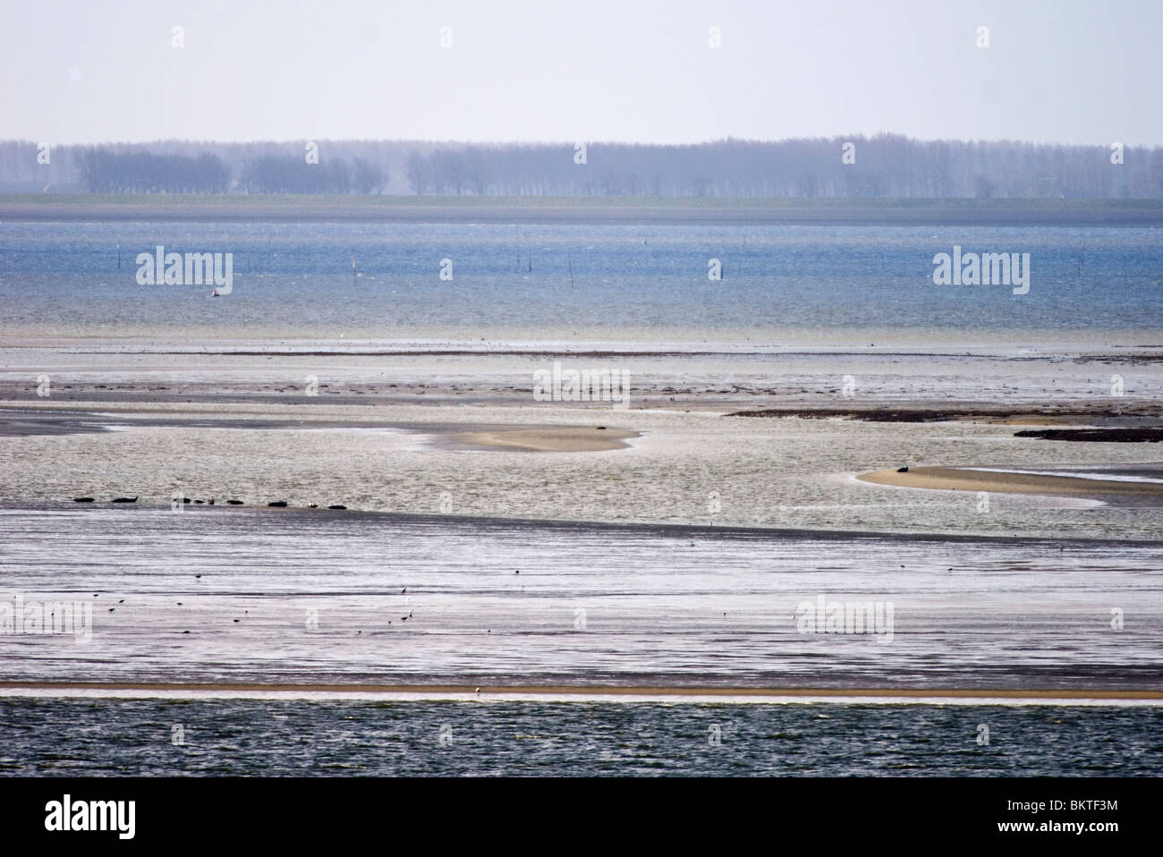 Plompetoren hi-res stock photography and images - Alamy