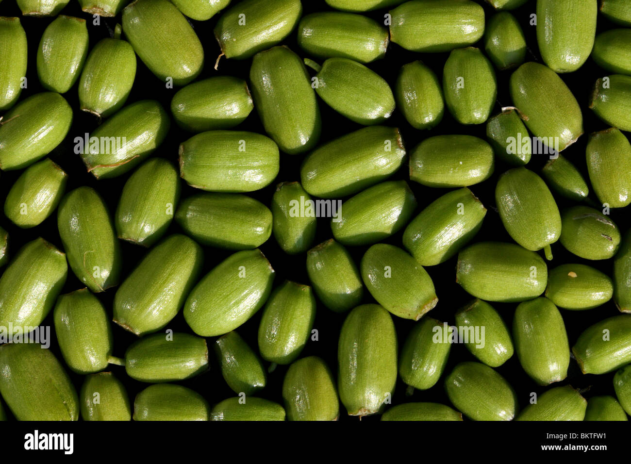 Vruchten hi-res stock photography and images - Alamy