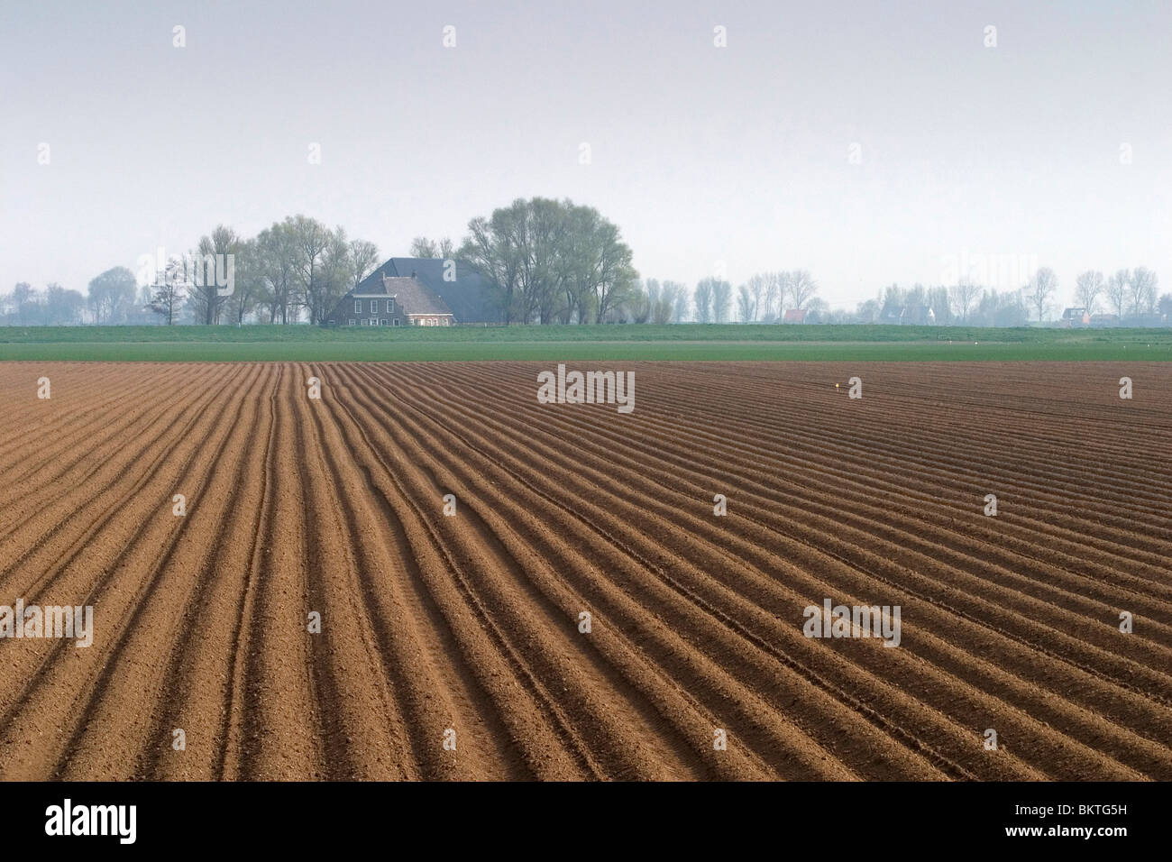 farm, behind the dike; boerderij, achter de dijk Stock Photo - Alamy