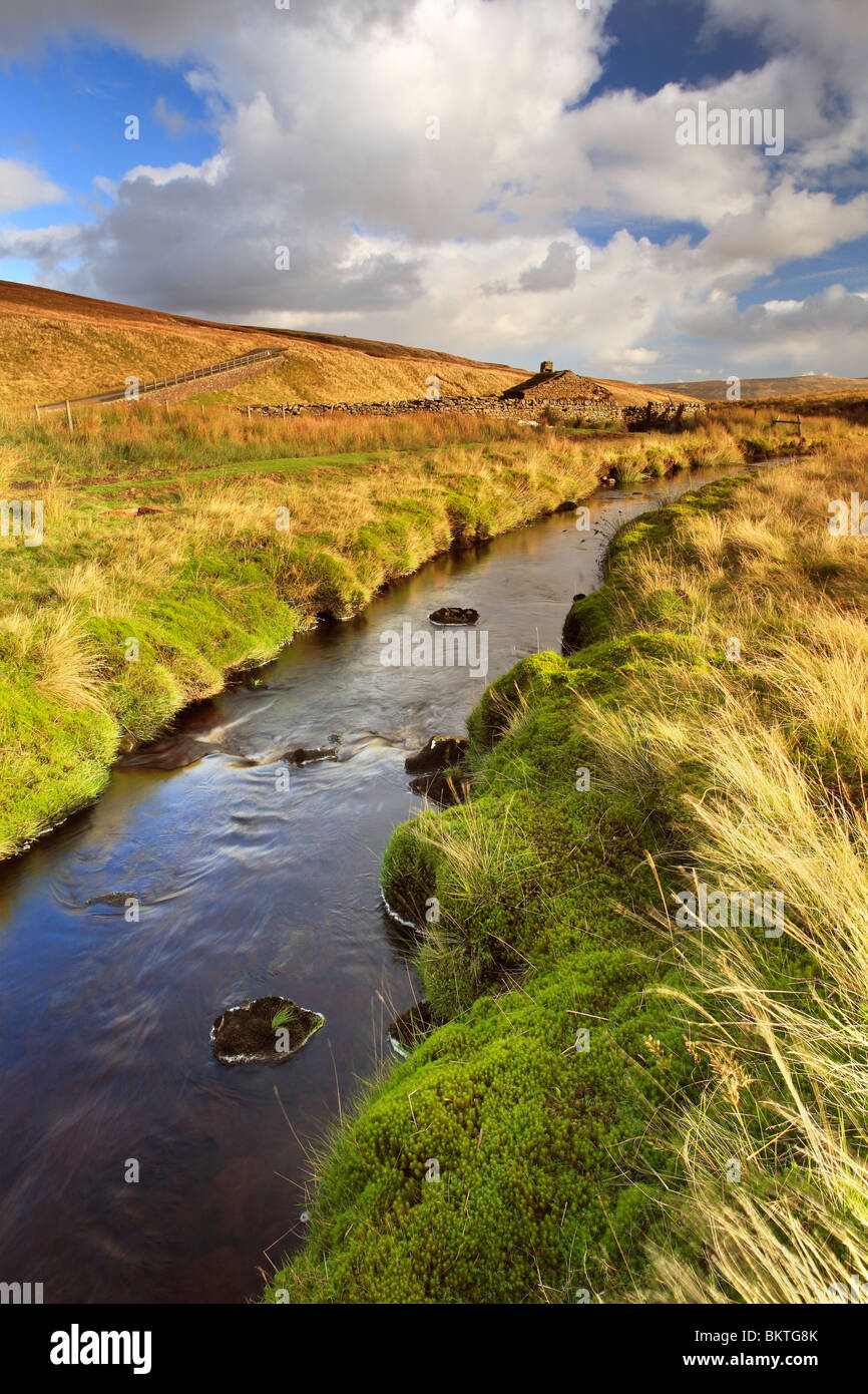 Autumn color surrounds this little stream in Birk Dale in the Yorkshire ...