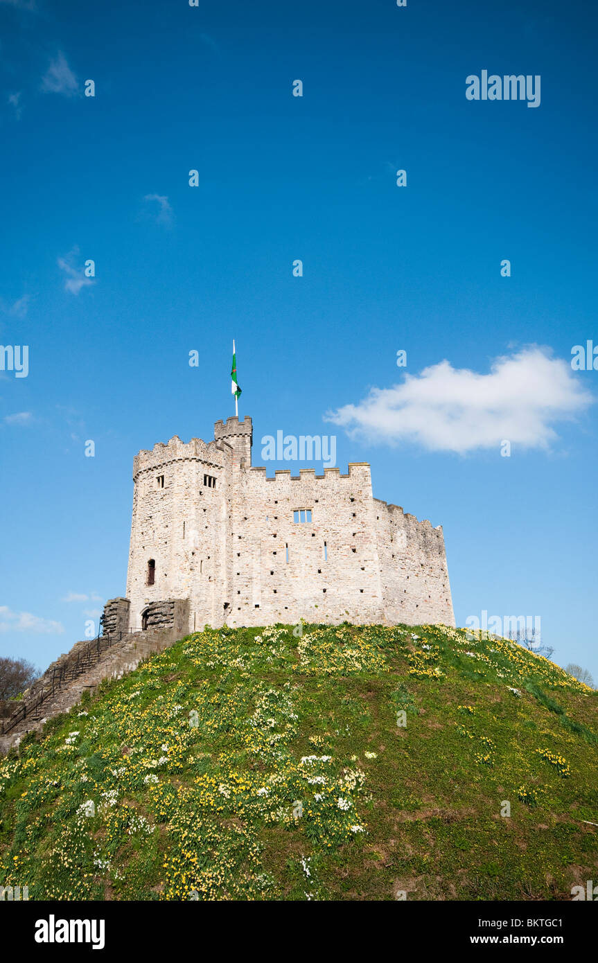The Norman Keep inside Cardiff Castle in Wales Stock Photo - Alamy