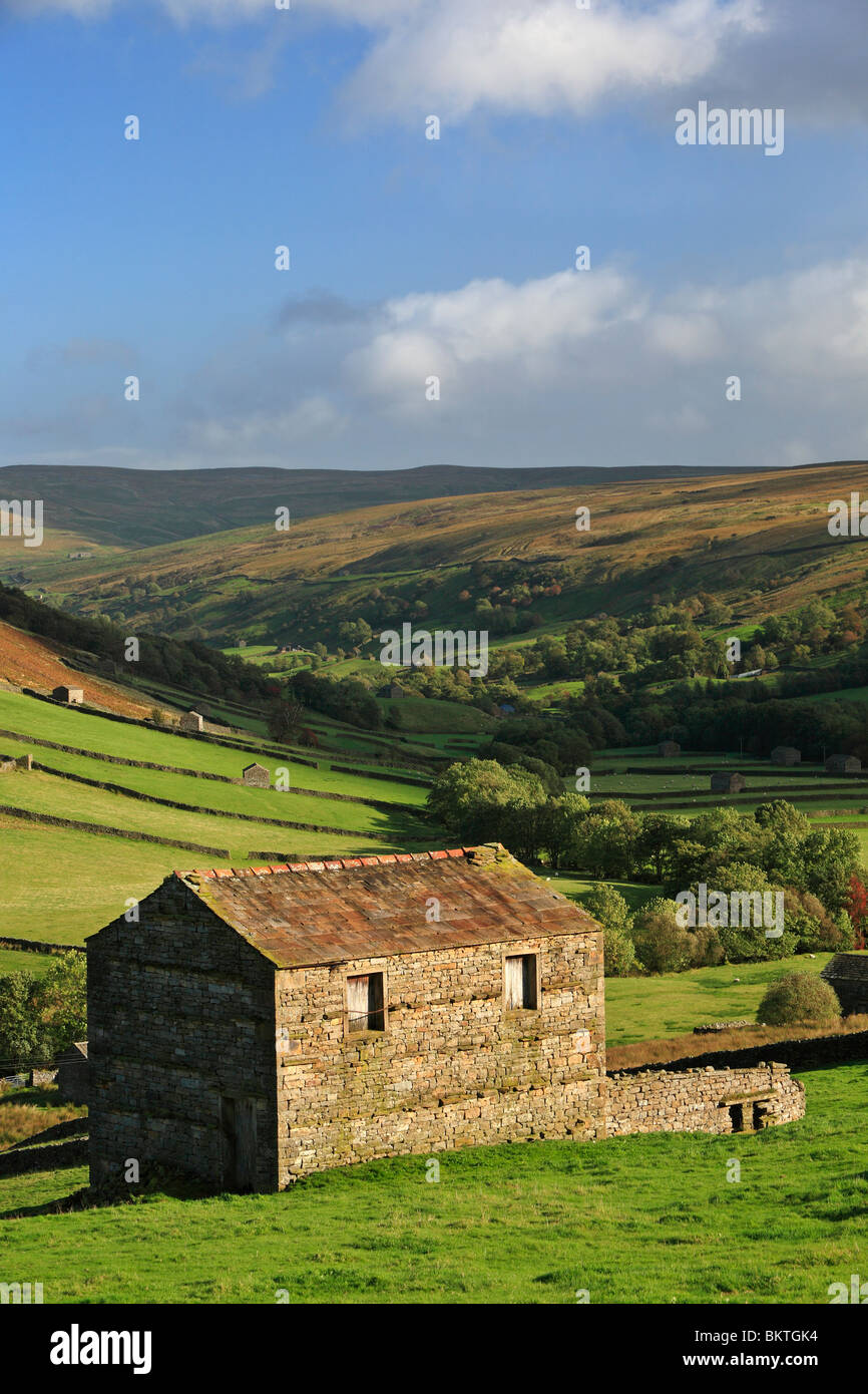 Typical scene in Swaledale including stone barns & walls under a ...
