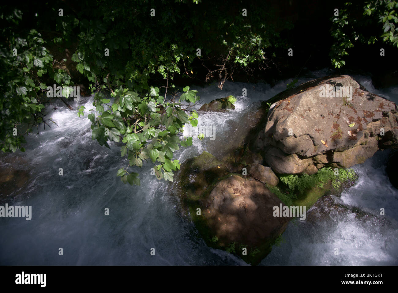 Jordan River Source Stock Photo - Alamy