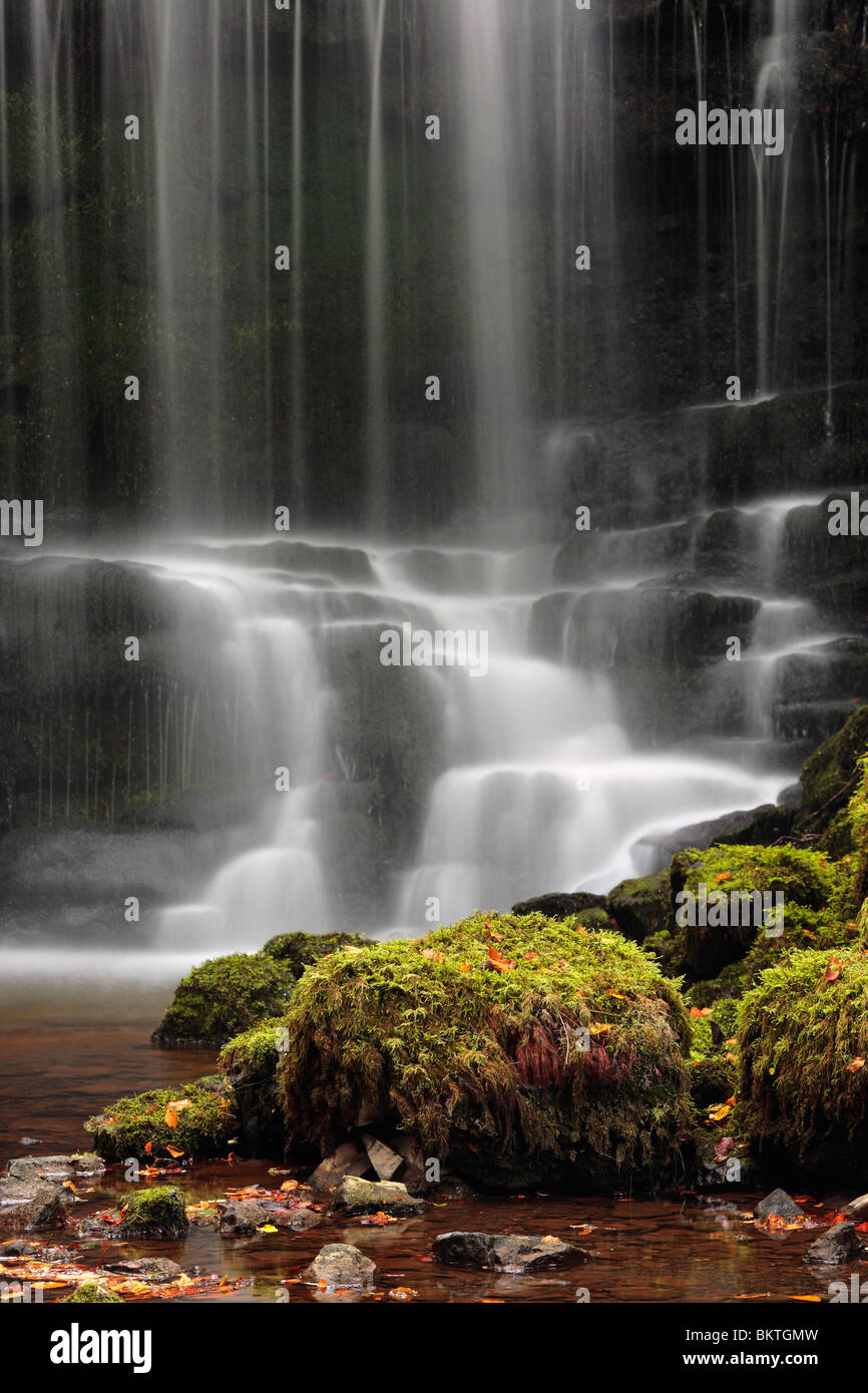 Autumn color at Scaleber Force near Settle in the Yorkshire Dales of ...