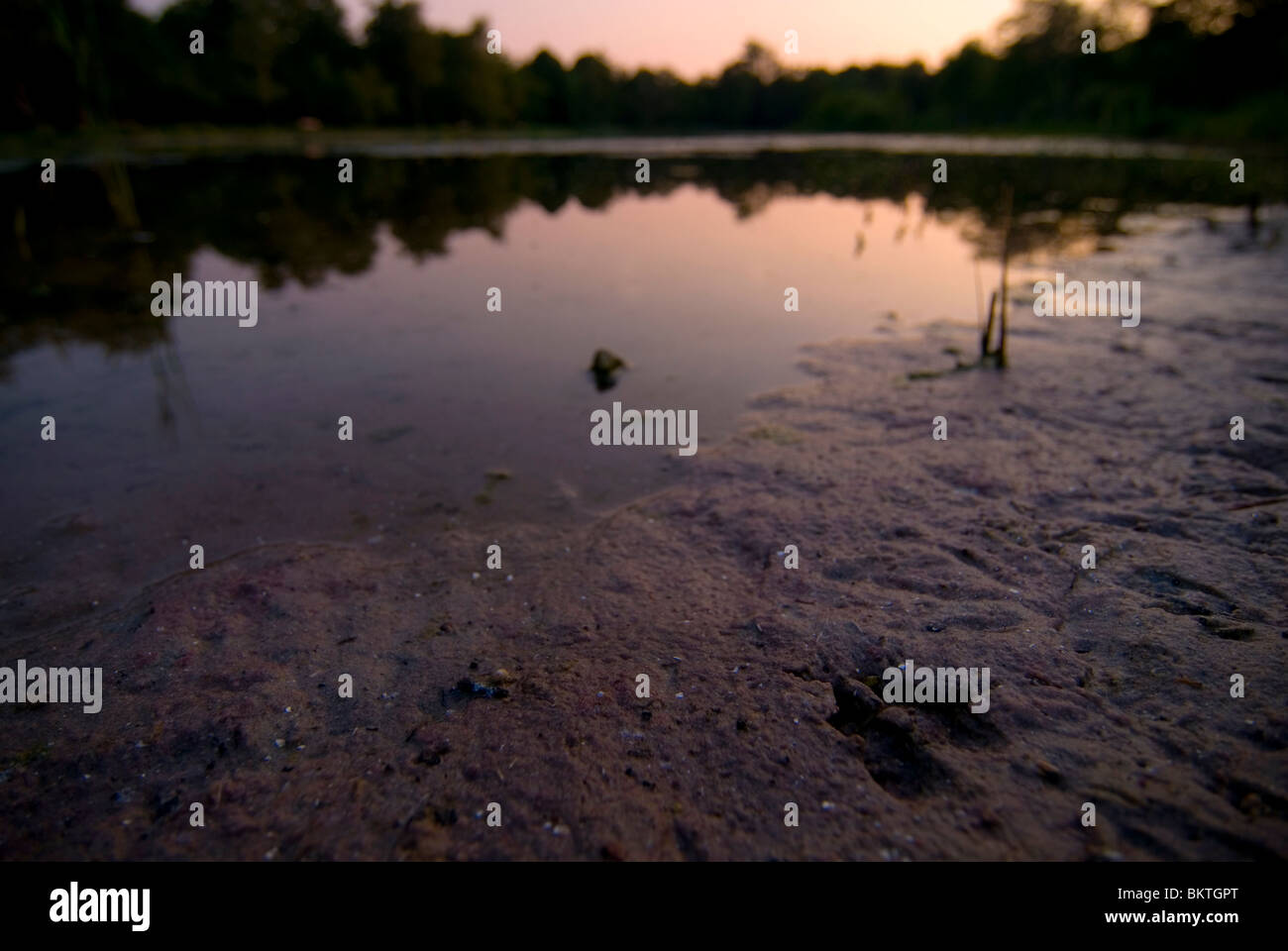 Reea nspoor op de oever van de tenellaplas hi-res stock photography and ...