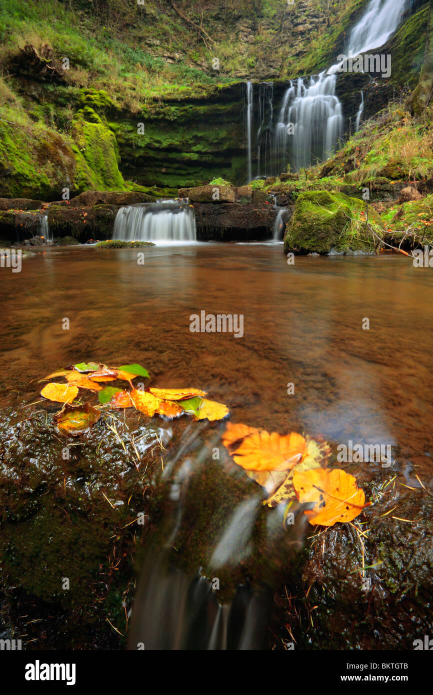 Autumn color at Scaleber Force near Settle in the Yorkshire Dales of ...