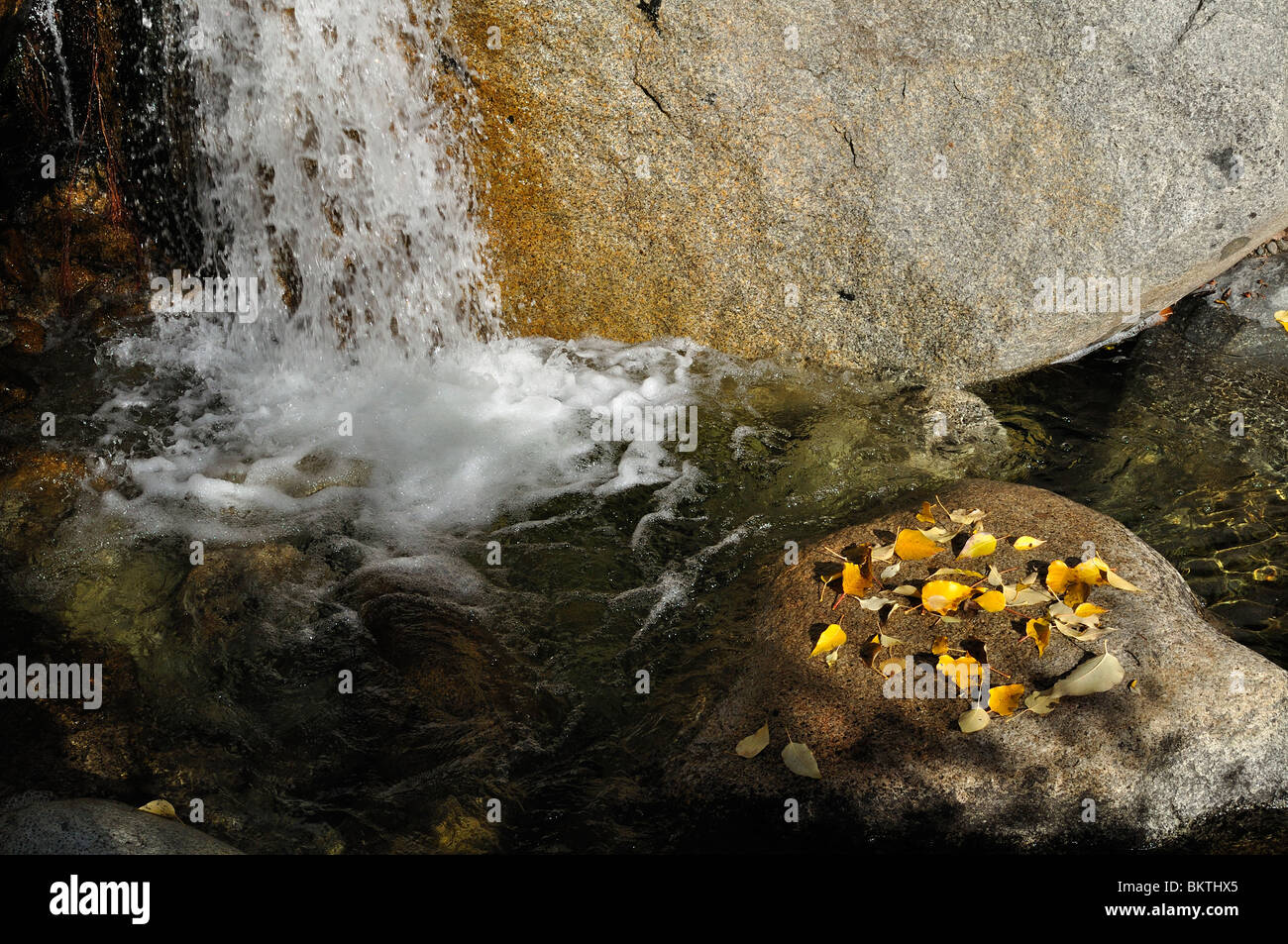 Babbling brook at base of water fall and autumn leaves in Yosemite ...