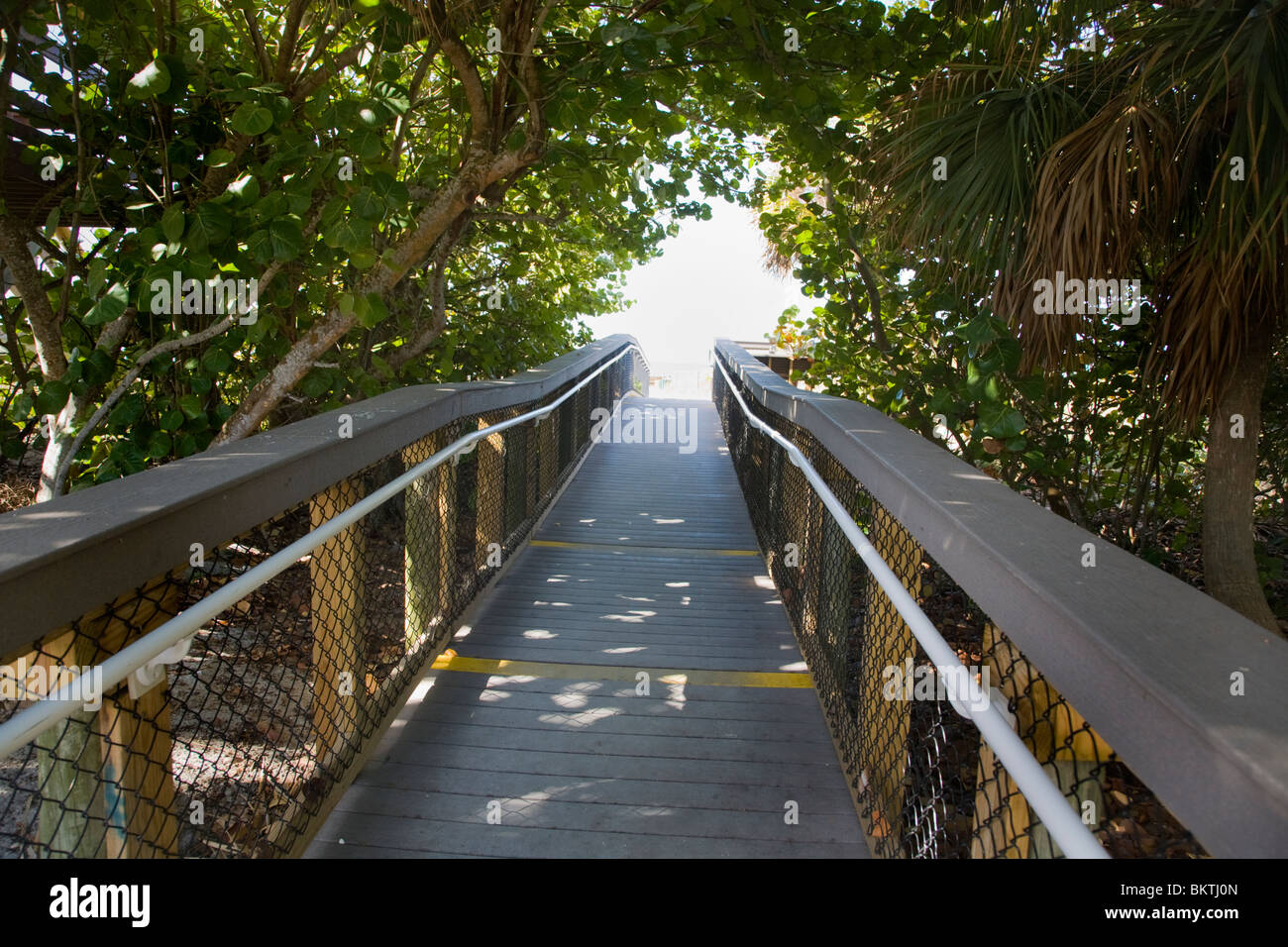 Light at end of tunnel like walkway to Venice Beach though trees in ...