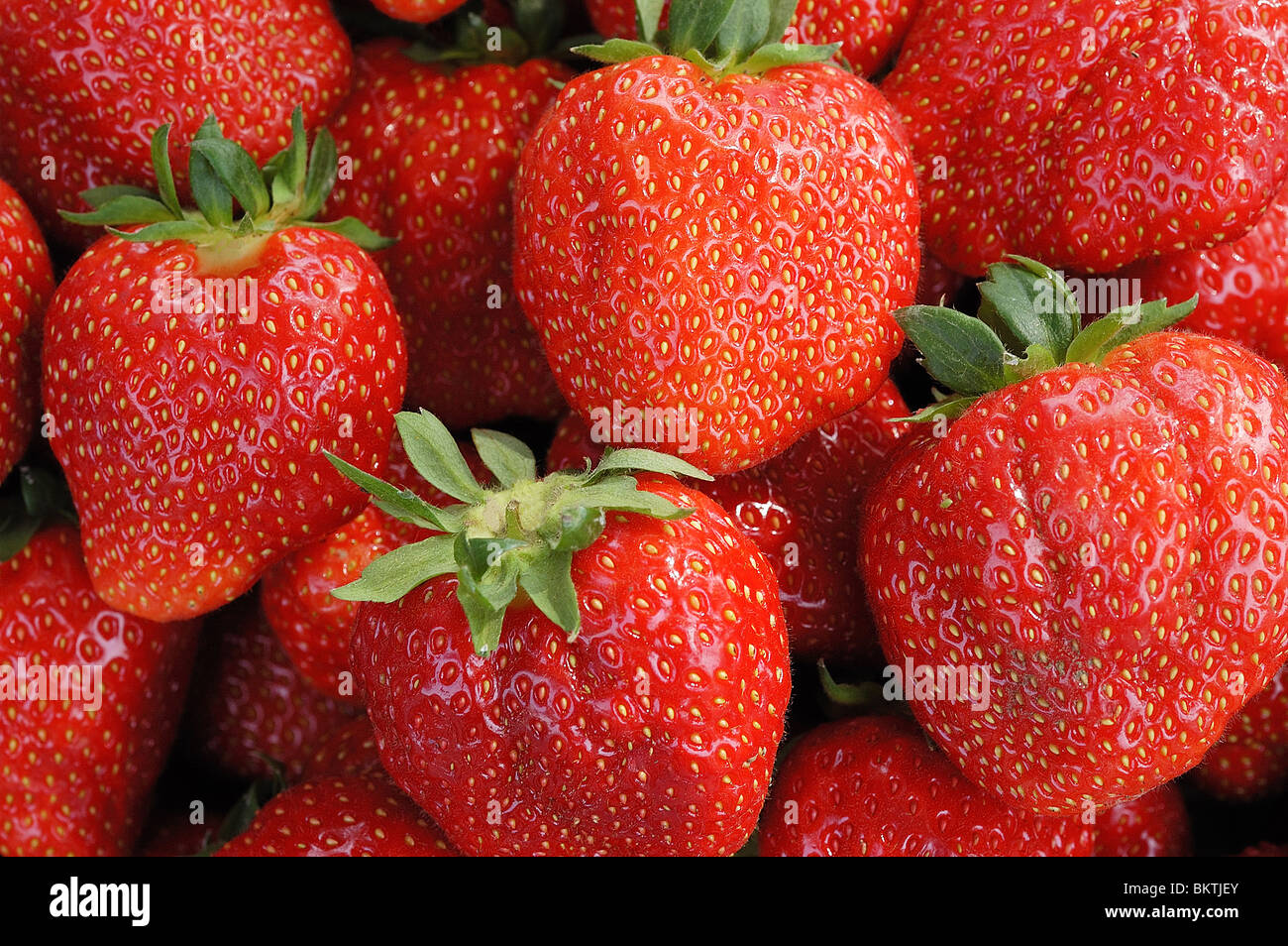 Together many of the mature strawberry Stock Photo - Alamy