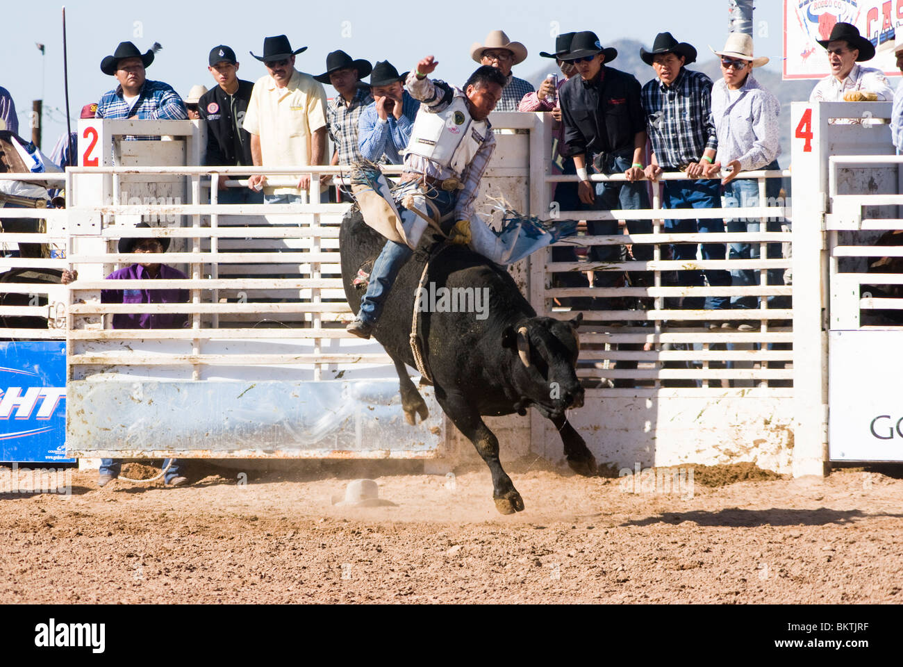 a cowboy competes in the bull riding event during the O'Odham Tash all ...