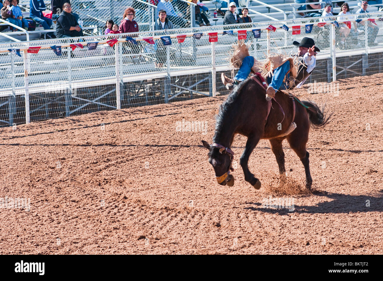 a cowboy competes in the saddle bronc riding event during the O'Odham ...