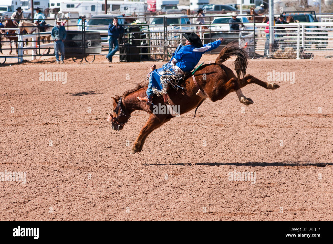 Saddle bronc riding hi-res stock photography and images - Alamy