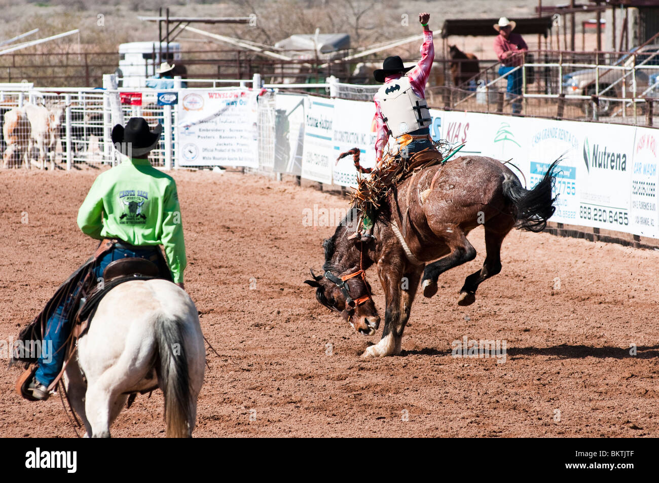 a cowboy competes in the saddle bronc riding event during the O'Odham ...