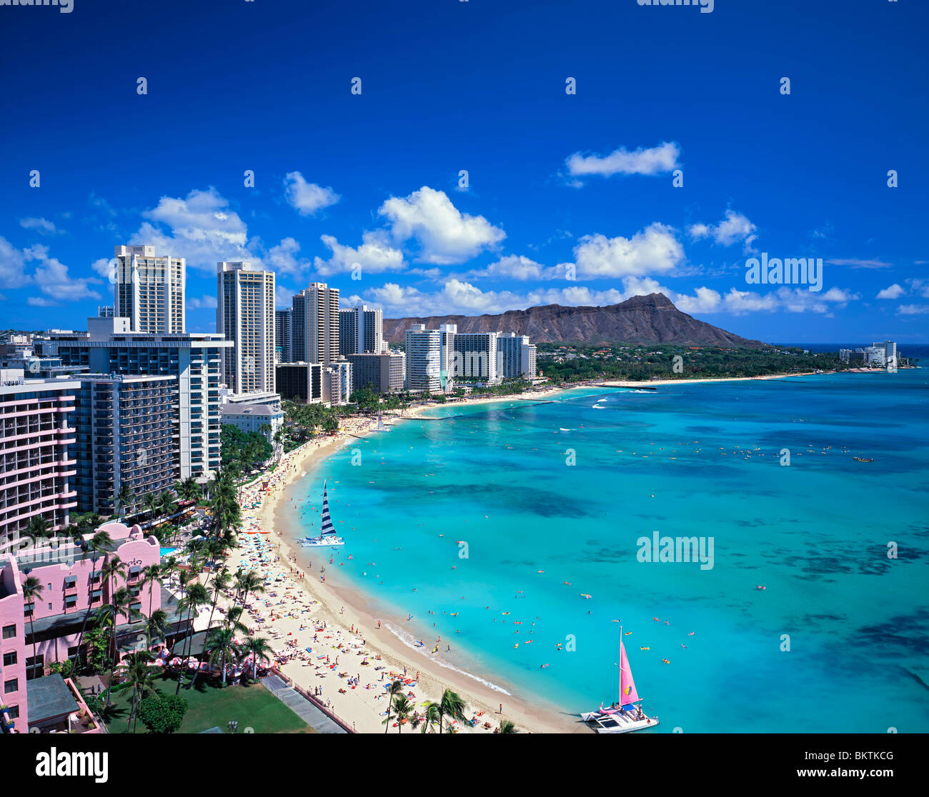 tropical Hawaii Waikiki beach and Diamond Head palm tree Stock Photo ...