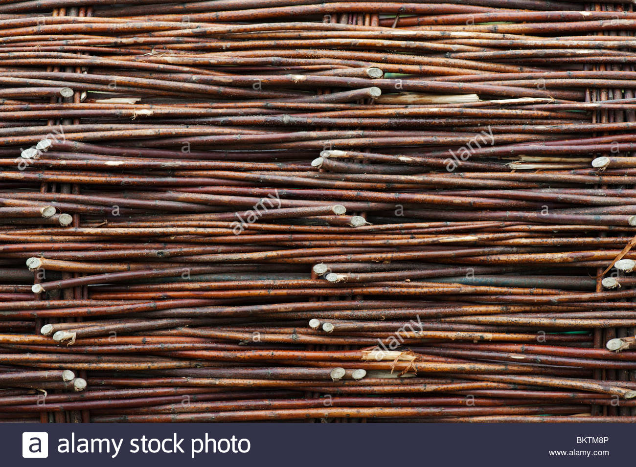 Willow Pattern Stock Photos & Willow Pattern Stock Images - Alamy