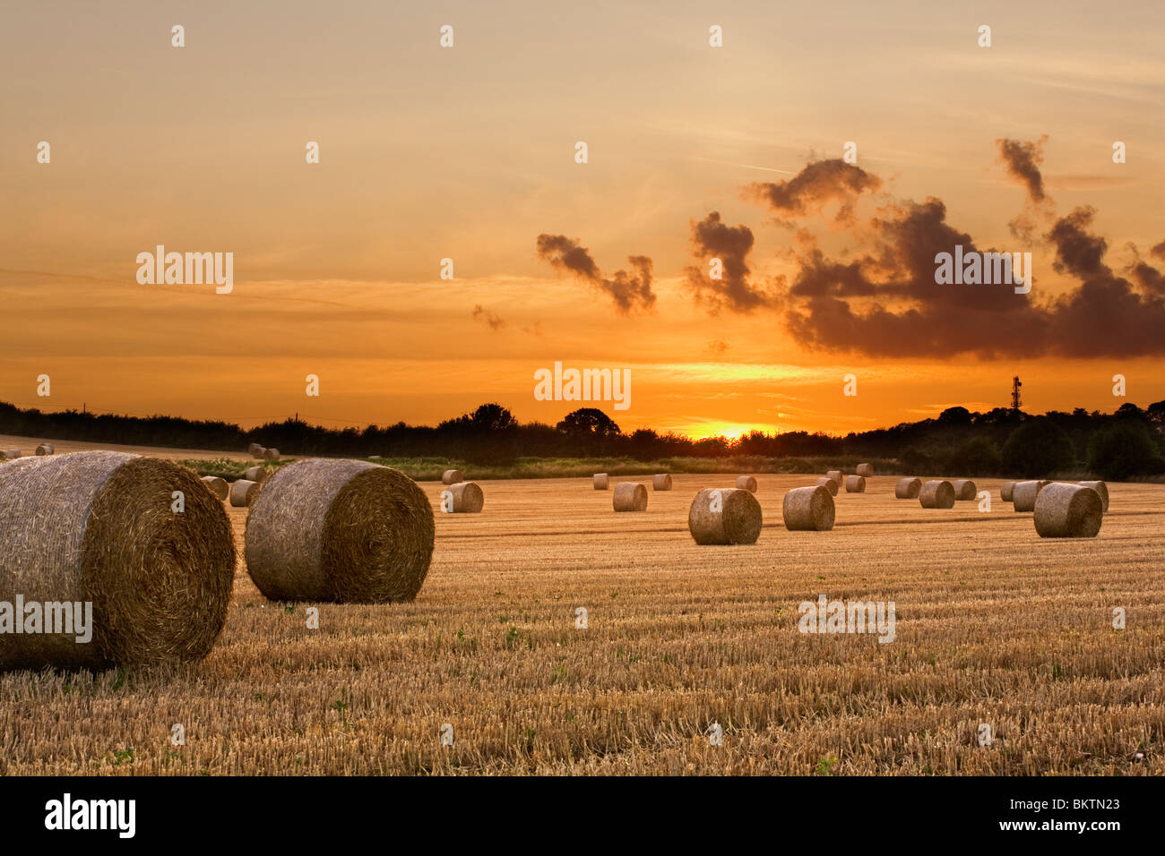 Suffolk bales hi-res stock photography and images - Alamy