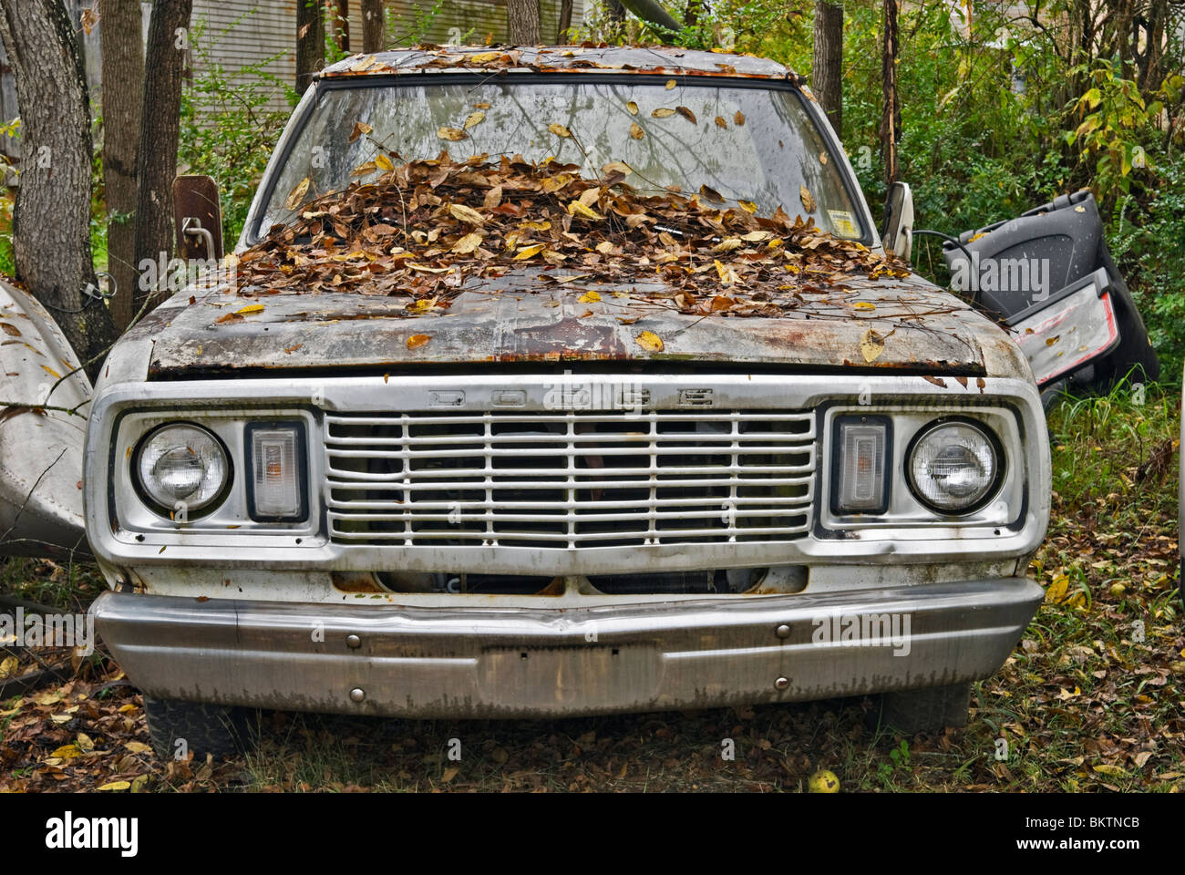 Car wreck covered with tree leaves. Bryson City, North Carolina, USA ...