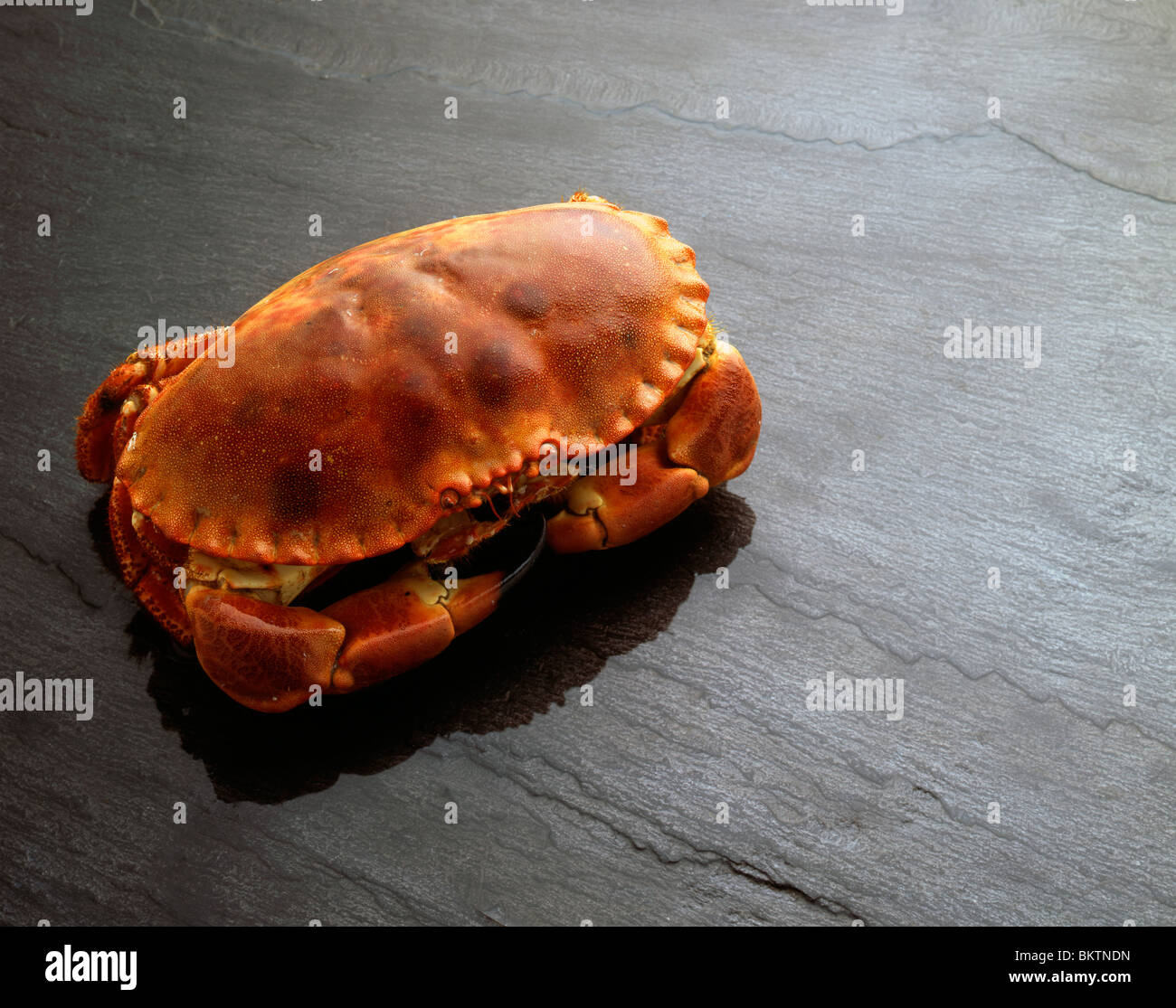 Cornish crab hi-res stock photography and images - Alamy