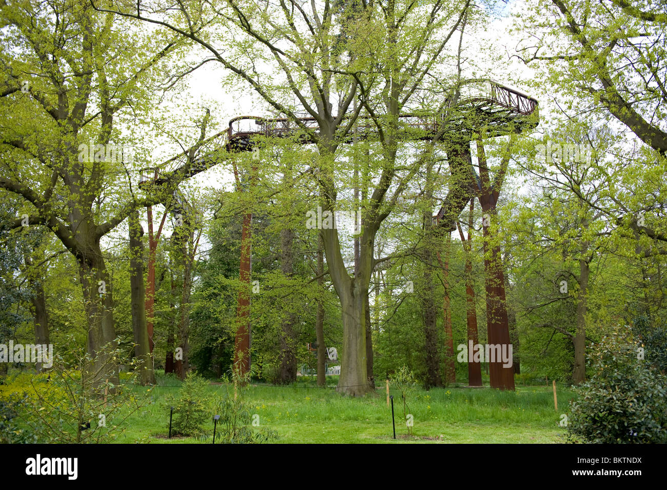 The treetop walkway at Kew Gardens seen through early spring foliage at ...