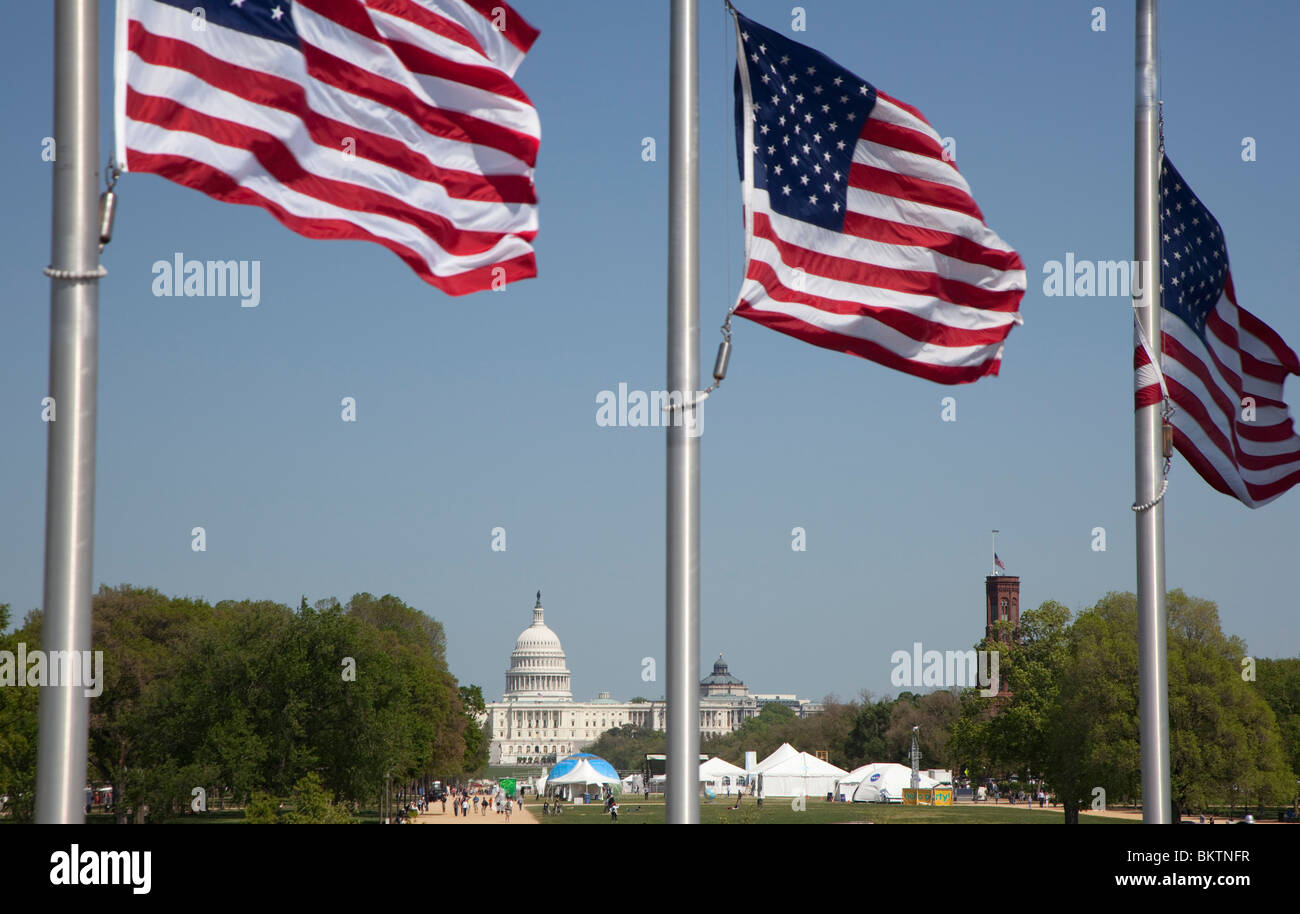Washington, DC - American flags on the grounds of the Washington ...