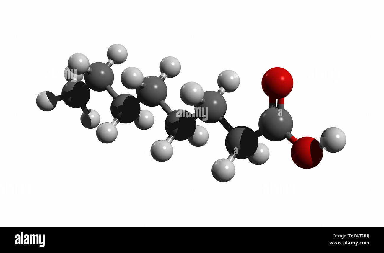 caprylic acid, octanoic acid (colorcode: black=carbon, white=hydrogen ...