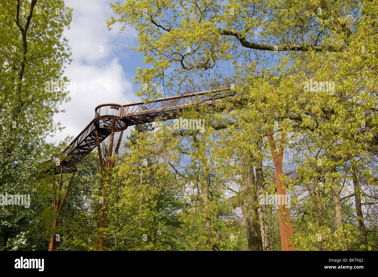 Treetop walk uk hi-res stock photography and images - Alamy