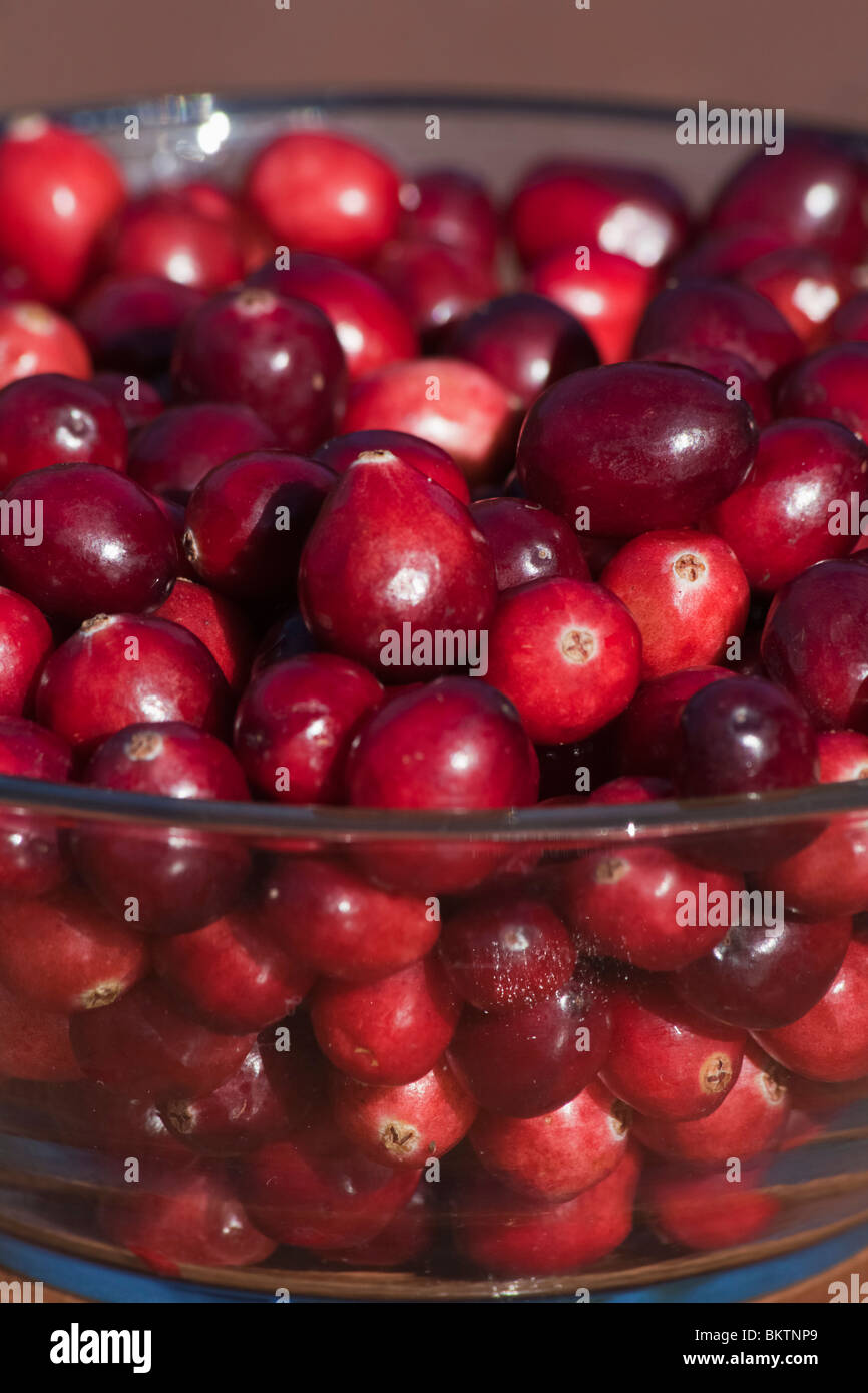 Red bright Cranberries full frame background nobody none from above ...