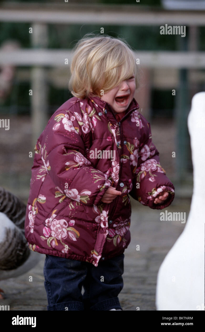 Scared kid with animals hi-res stock photography and images - Alamy