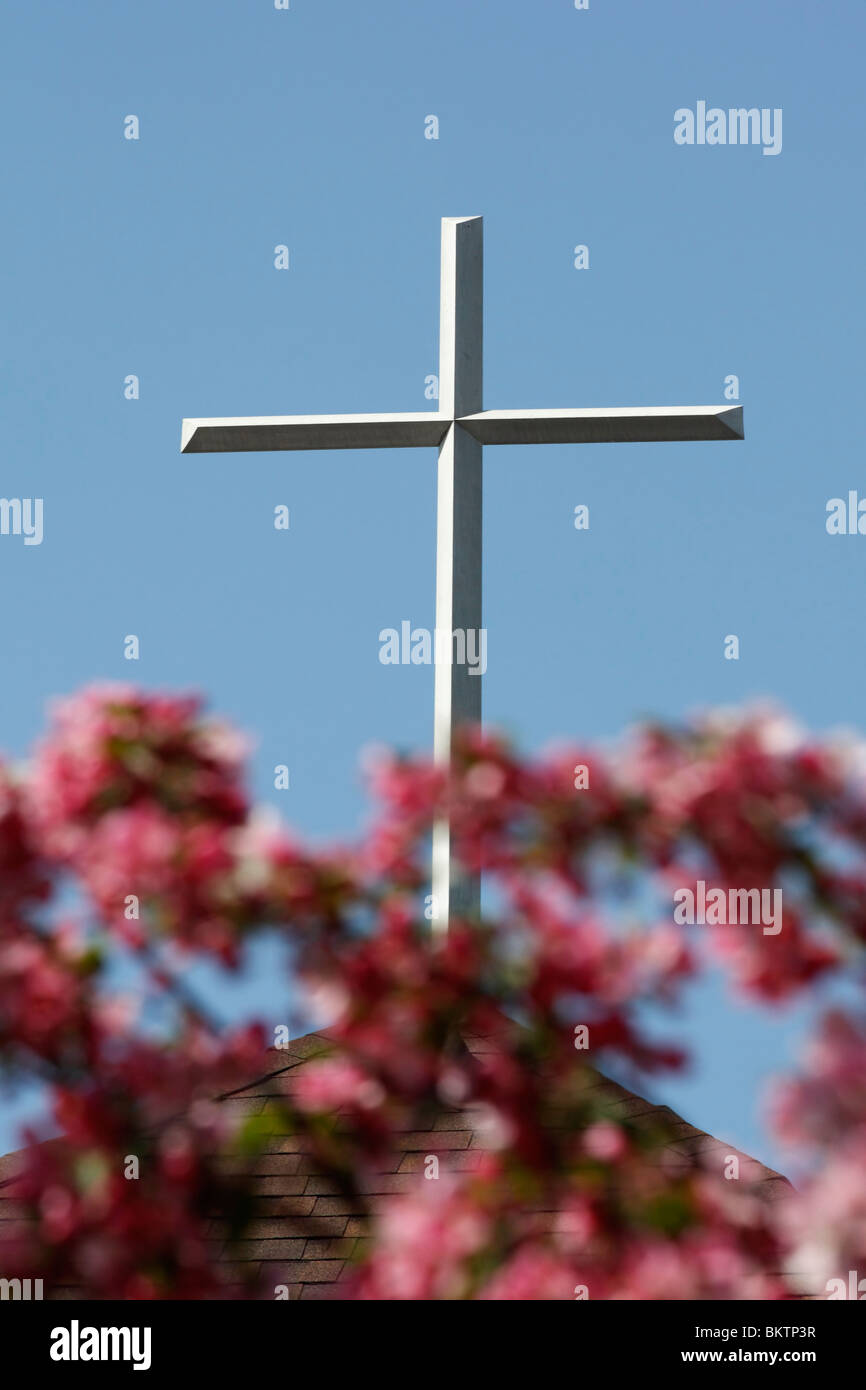 The Catholic church with cross on a roof top and blooming tree against ...