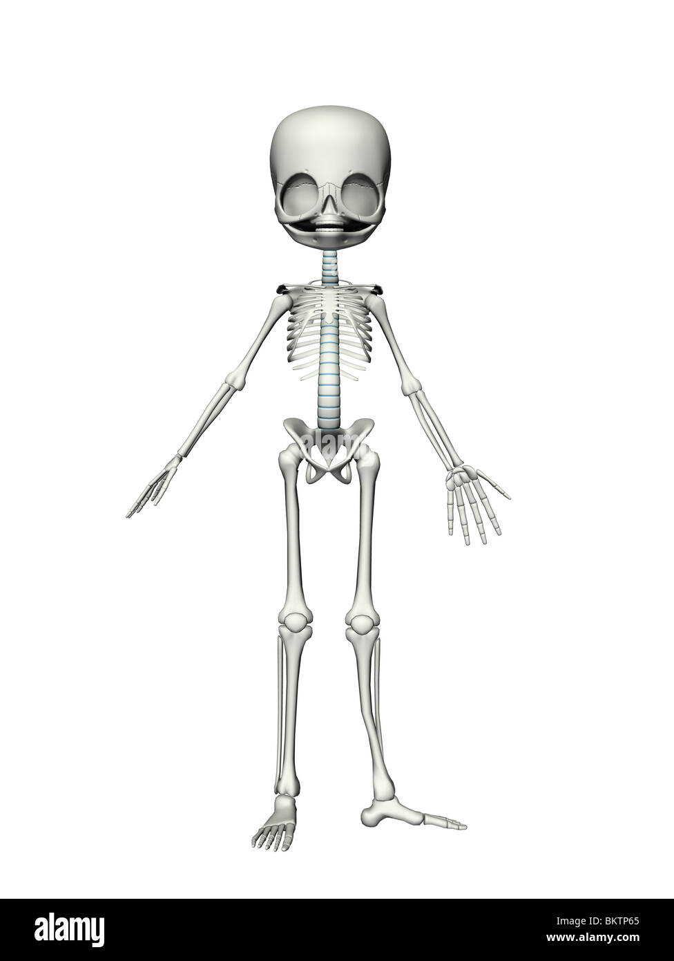 Cartoon skeleton hi-res stock photography and images - Alamy