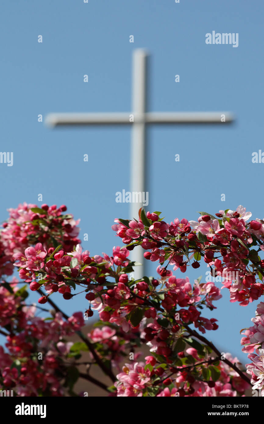 The Catholic church with cross on a roof top and blooming tree against ...