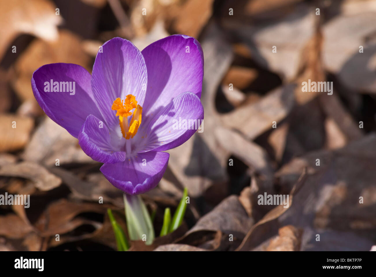 Pictures in public Cut Out Stock Images & Pictures - Alamy