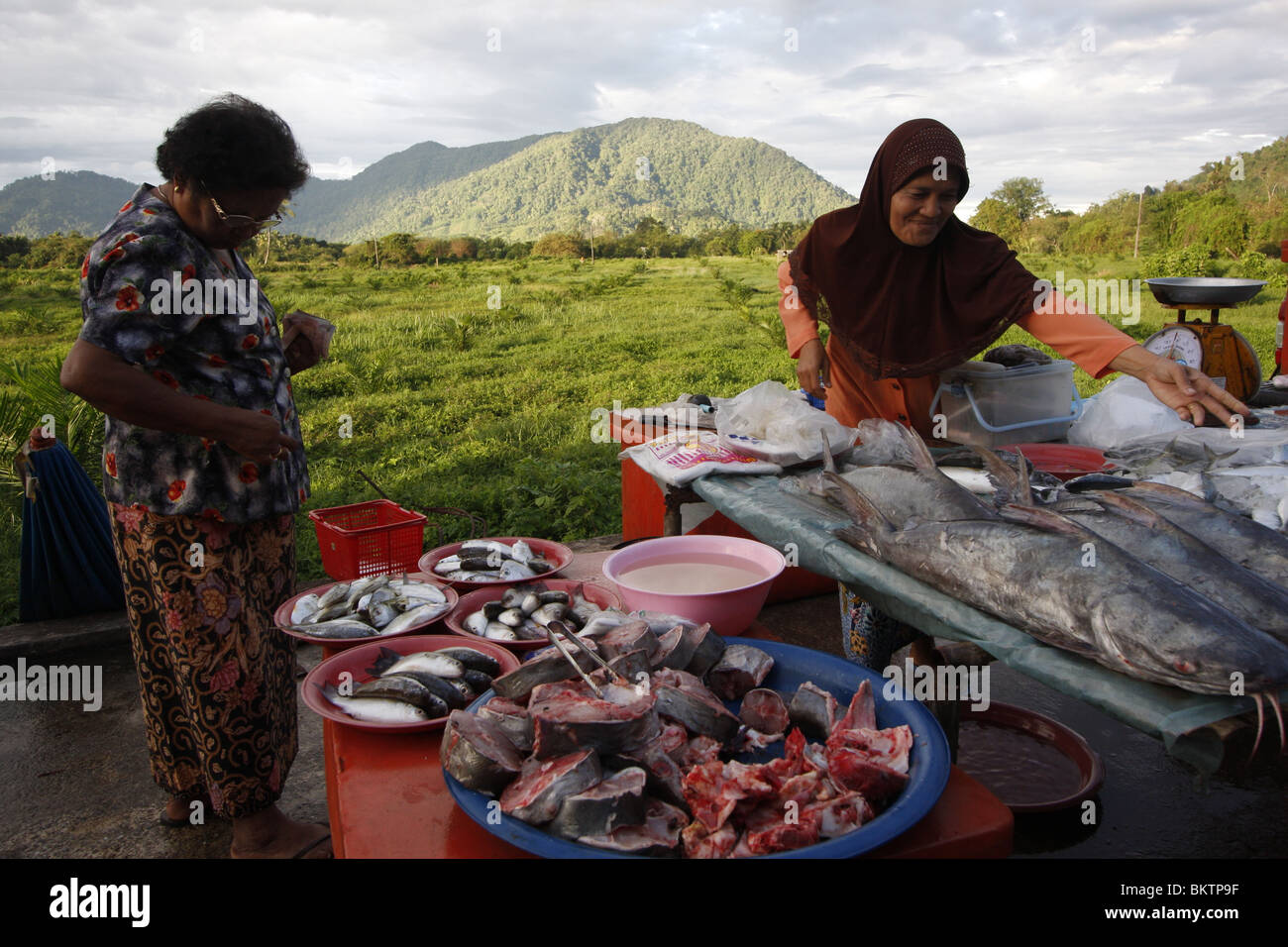 A Muslim woman in Kuraburi sells fish at the village market Stock Photo ...