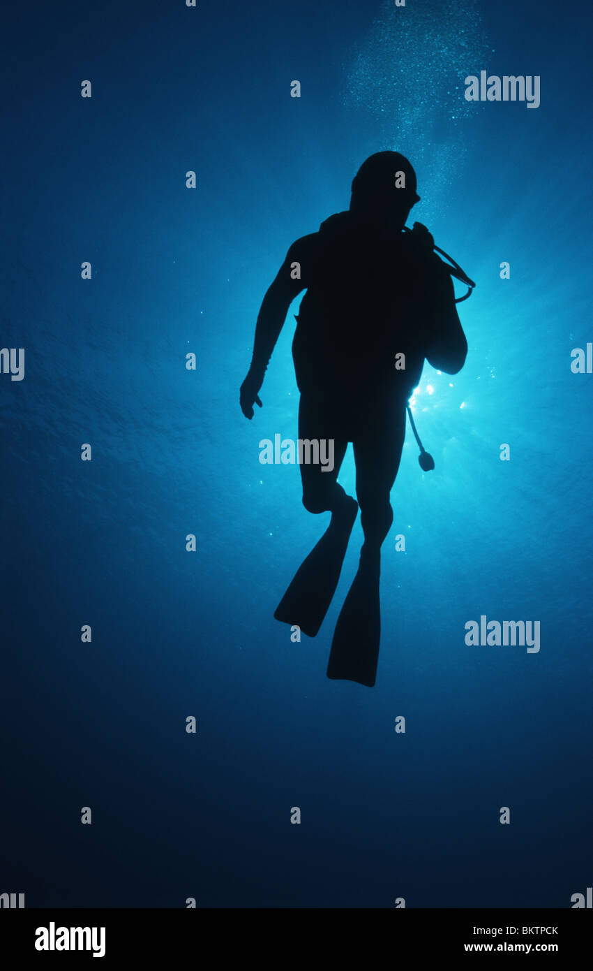 Scuba diver diving silhouette hi-res stock photography and images - Alamy